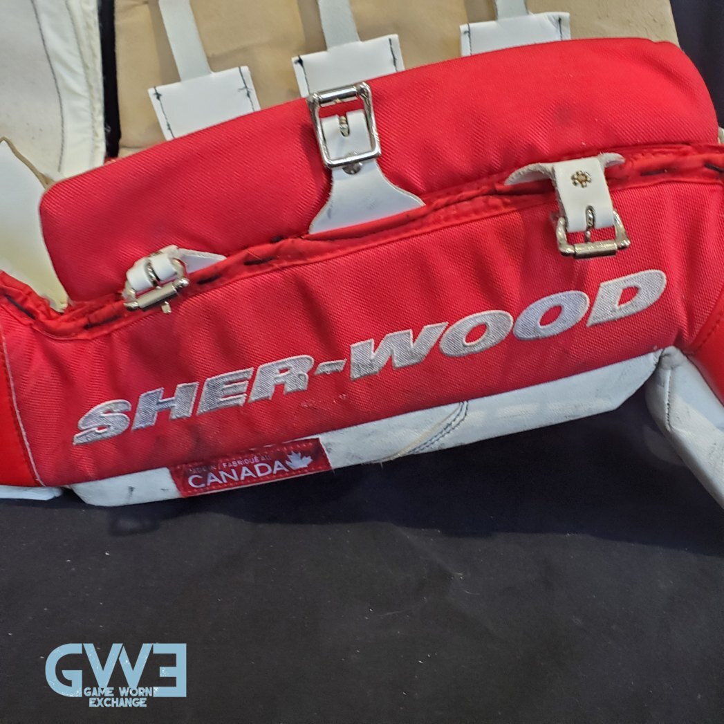 Martin Brodeur Game Worn Used Goalie Pads 2010-11 New Jersey Devils MB ...